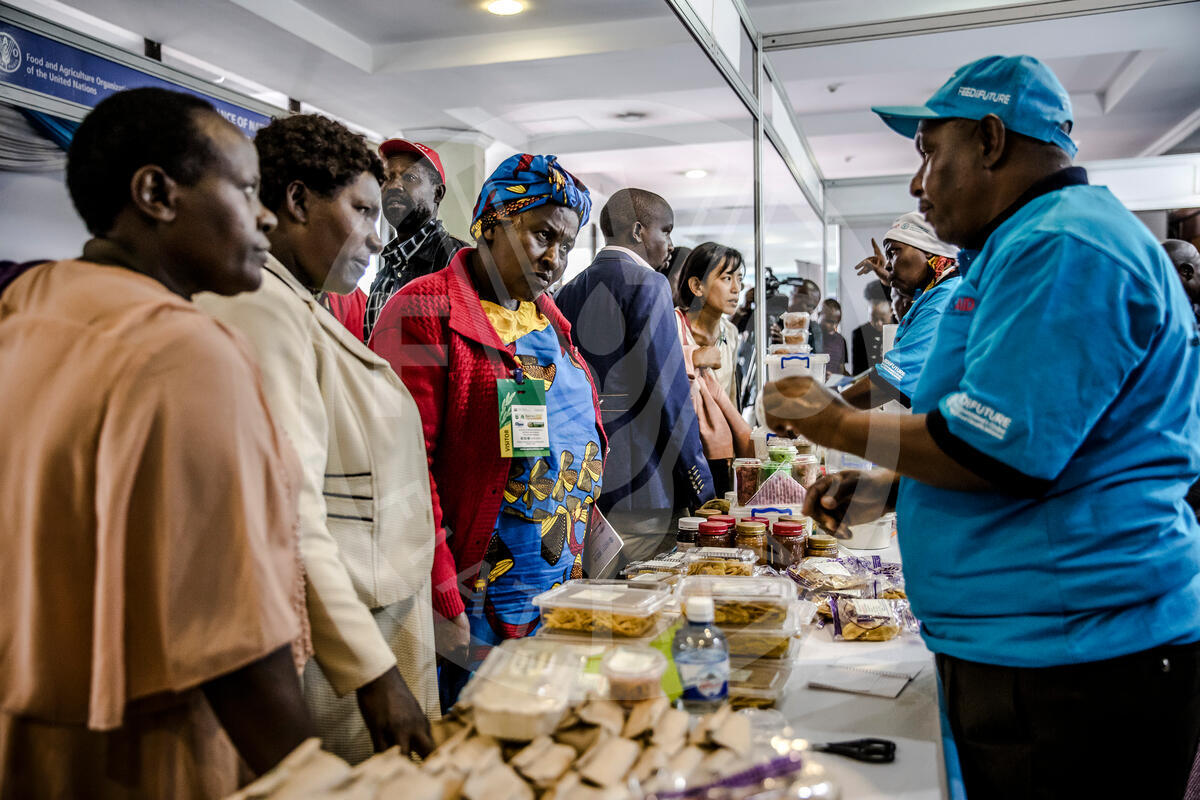 FAO Digital Media Hub - Kenya, 2019. Agritec Africa International ...